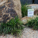 Coldstream Rocks | Coldstream Stone - Transrock